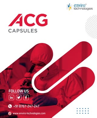 ACG capsules Case Study for Warehouse | PDF