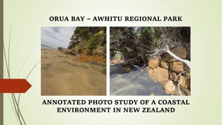 A2 CAMBRIDGE GEOGRAPHY: COASTAL ENVIRONMENTS - CASE STUDY NEW ZEALAND ...