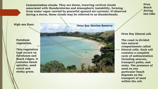 A2 CAMBRIDGE GEOGRAPHY: COASTAL ENVIRONMENTS - CASE STUDY NEW ZEALAND | PPT