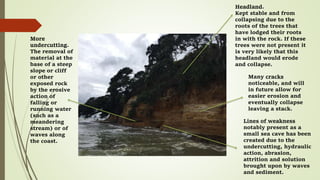 A2 CAMBRIDGE GEOGRAPHY: COASTAL ENVIRONMENTS - CASE STUDY NEW ZEALAND | PPT