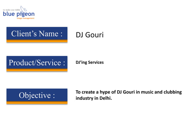 Case study DJ Gauri | PPT