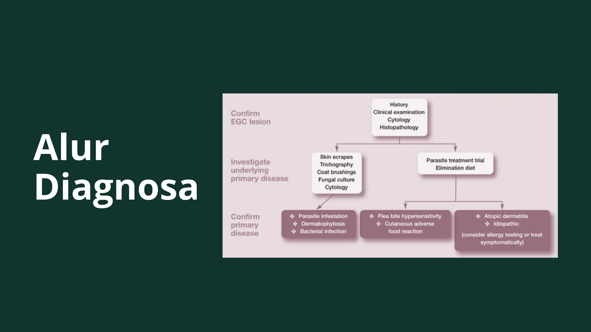 Case Study Eosinophilic Granulomatous Complex | PPT