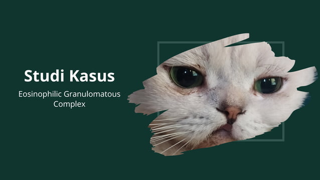 Case Study Eosinophilic Granulomatous Complex | PPT