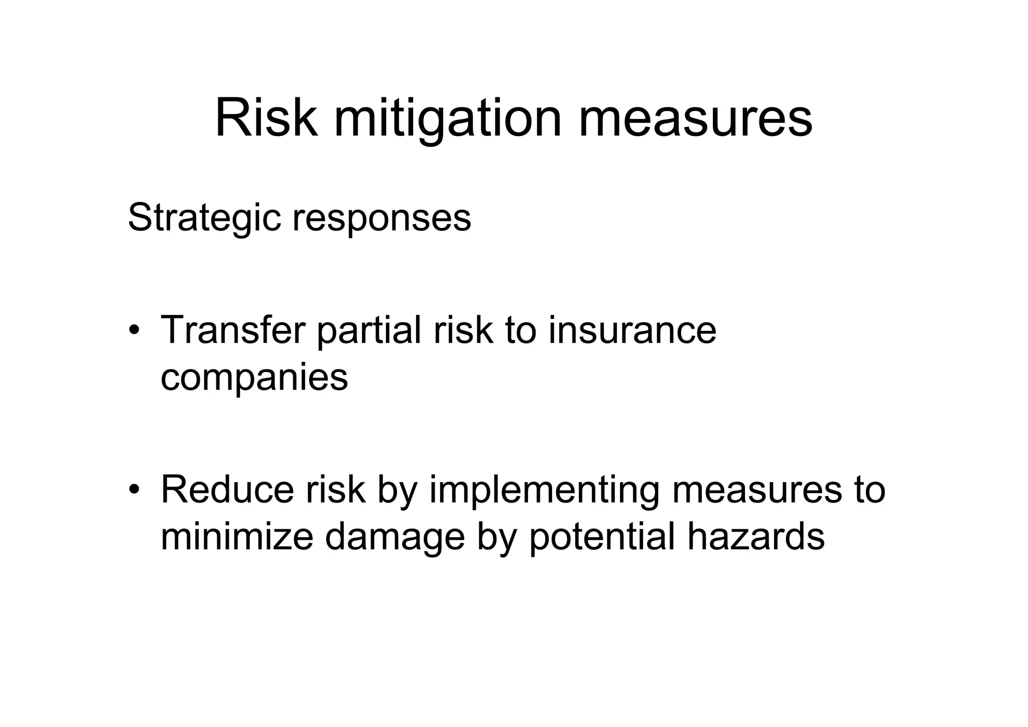 Risk Management Plan Example | PDF
