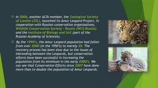 Case Study for Conservation of Amur Leopards.pptx
