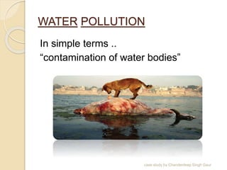 Ganga River Pollution Case Study