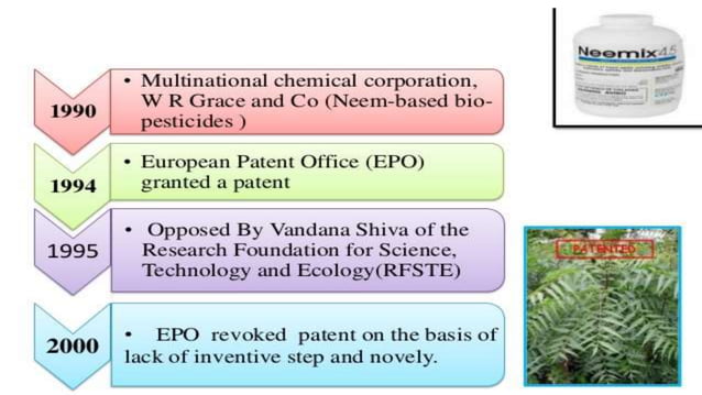 Case study on Neem, Turmeric and Basmati rice | PPTX