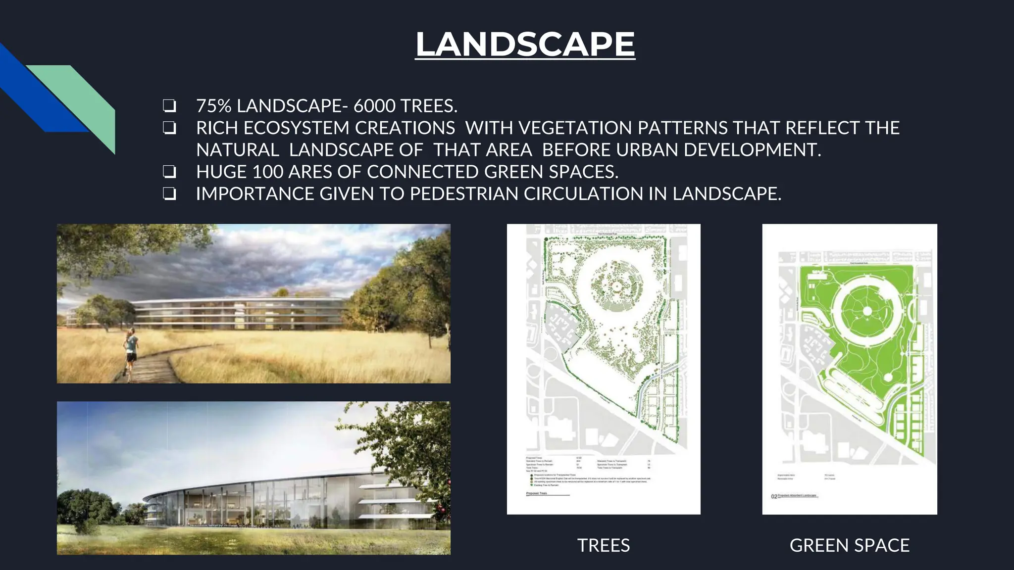 CASE STUDY IT PARK.pdf