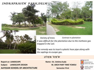 Casestudy landscape ip park. | PPT