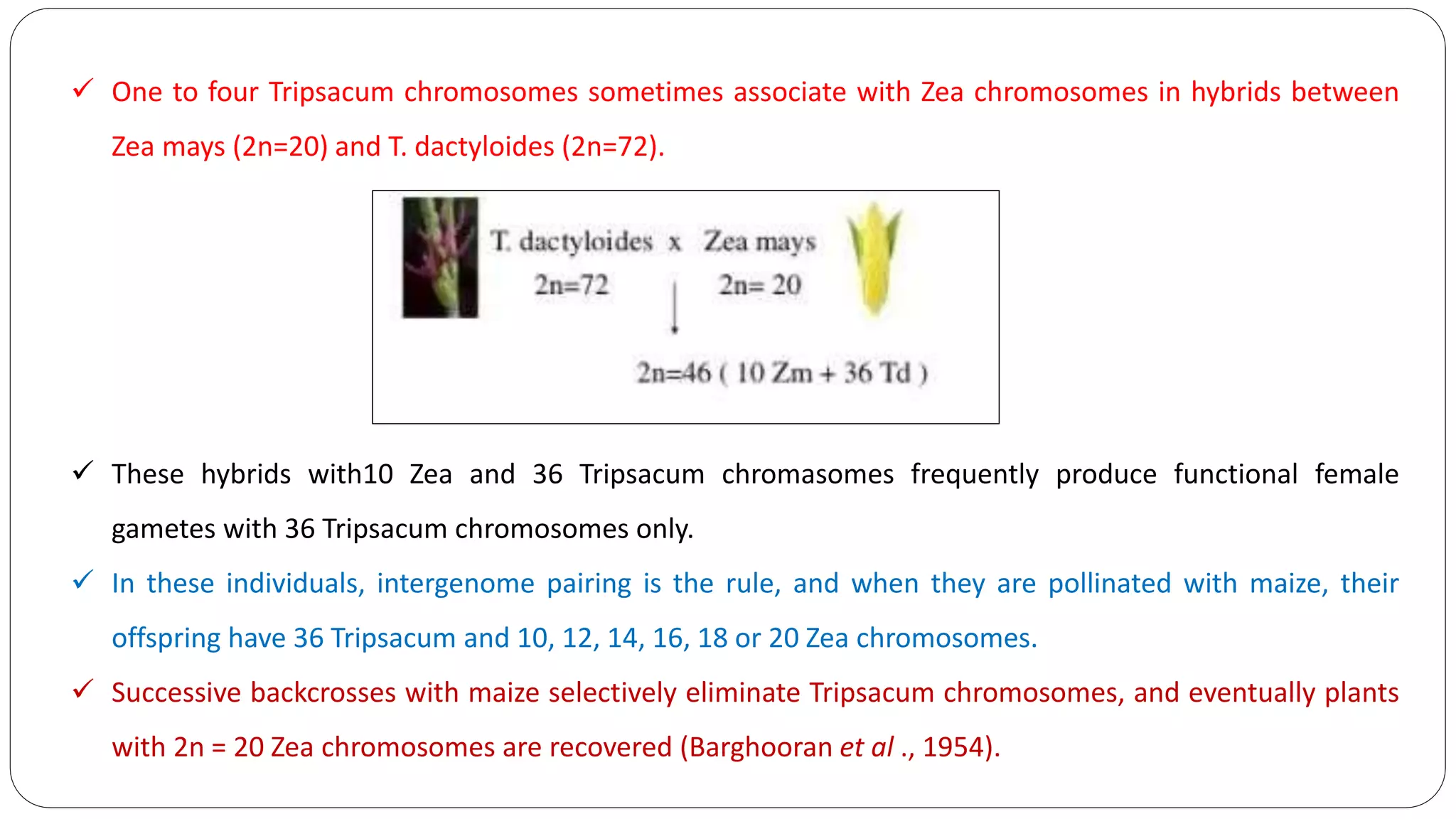 Case Study – Maize Origins, Domestication, Evolution and Selection.pptx