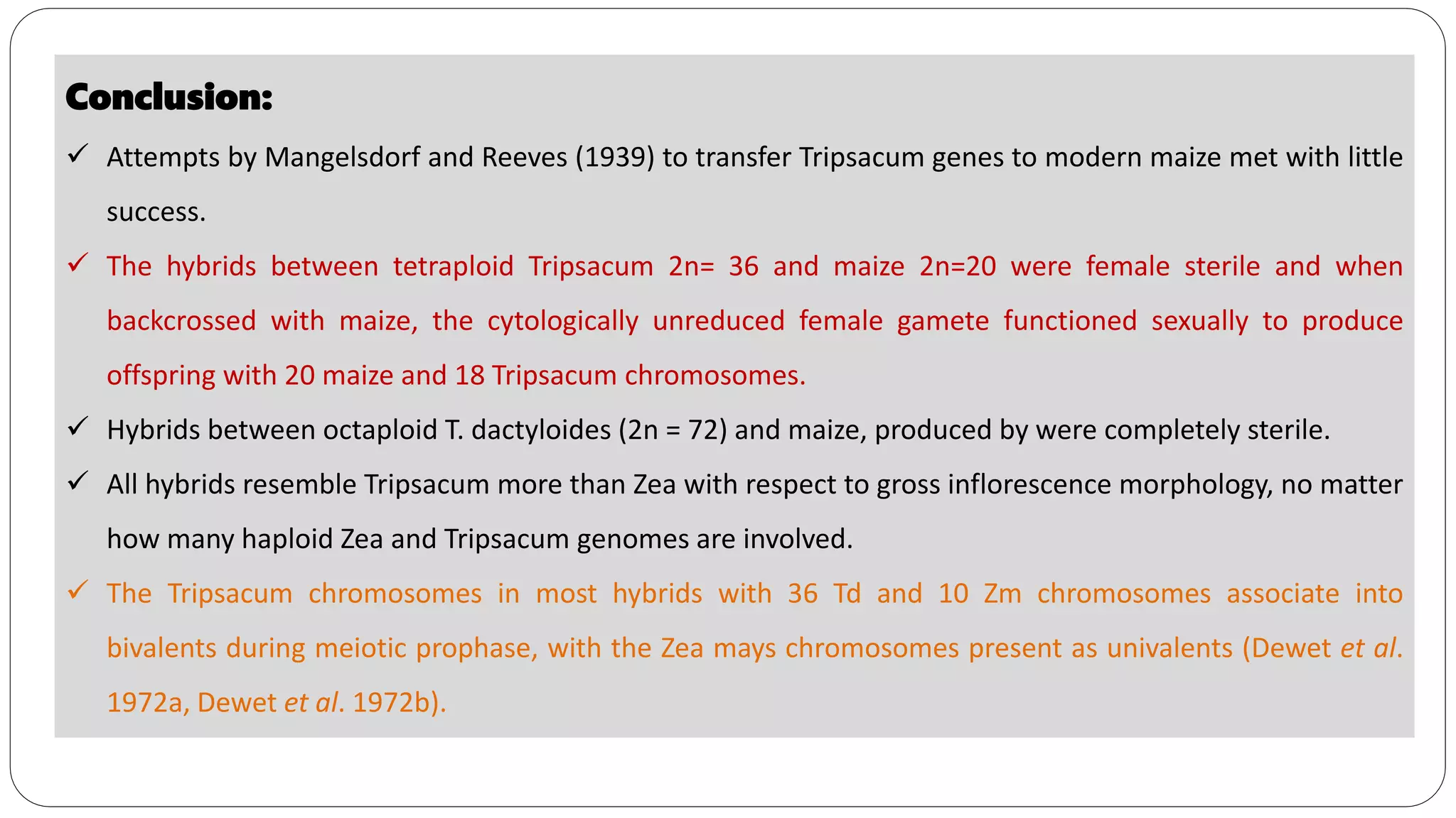 Case Study – Maize Origins, Domestication, Evolution and Selection.pptx