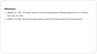 Case Study – Maize Origins, Domestication, Evolution and Selection.pptx
