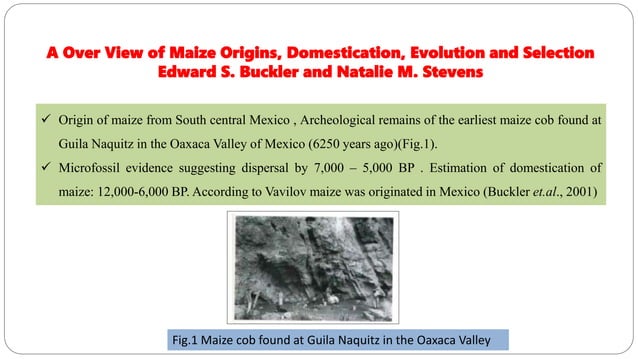 Case Study – Maize Origins, Domestication, Evolution and Selection.pptx