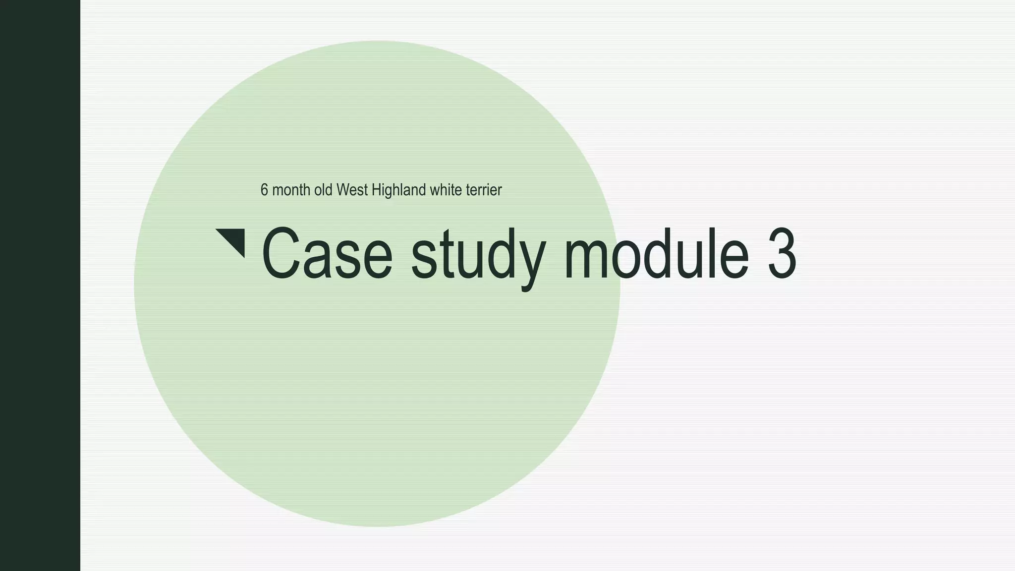 Canine Dermatology Case study module 3.pptx