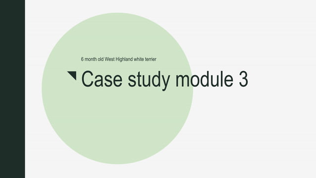 Canine Dermatology Case study module 3.pptx