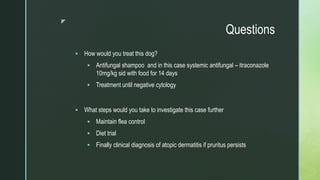 Canine Dermatology Case study module 3.pptx