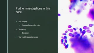 Canine Dermatology Case study module 3.pptx