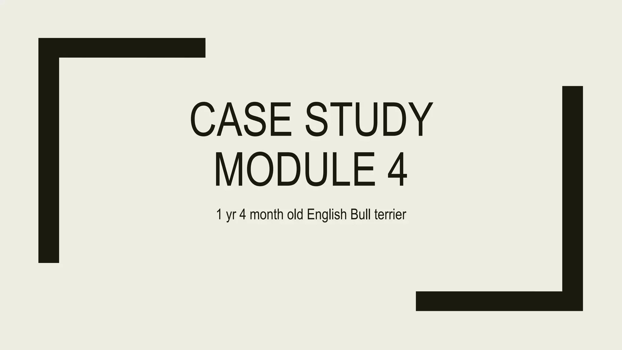 Canine Dermatology Case Study module 4.pptx