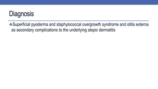 Canine Dermatology Case study module 5.pptx