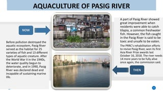 Case Study No. 5-Pasig River Open Channel in Aquaculture | PPT