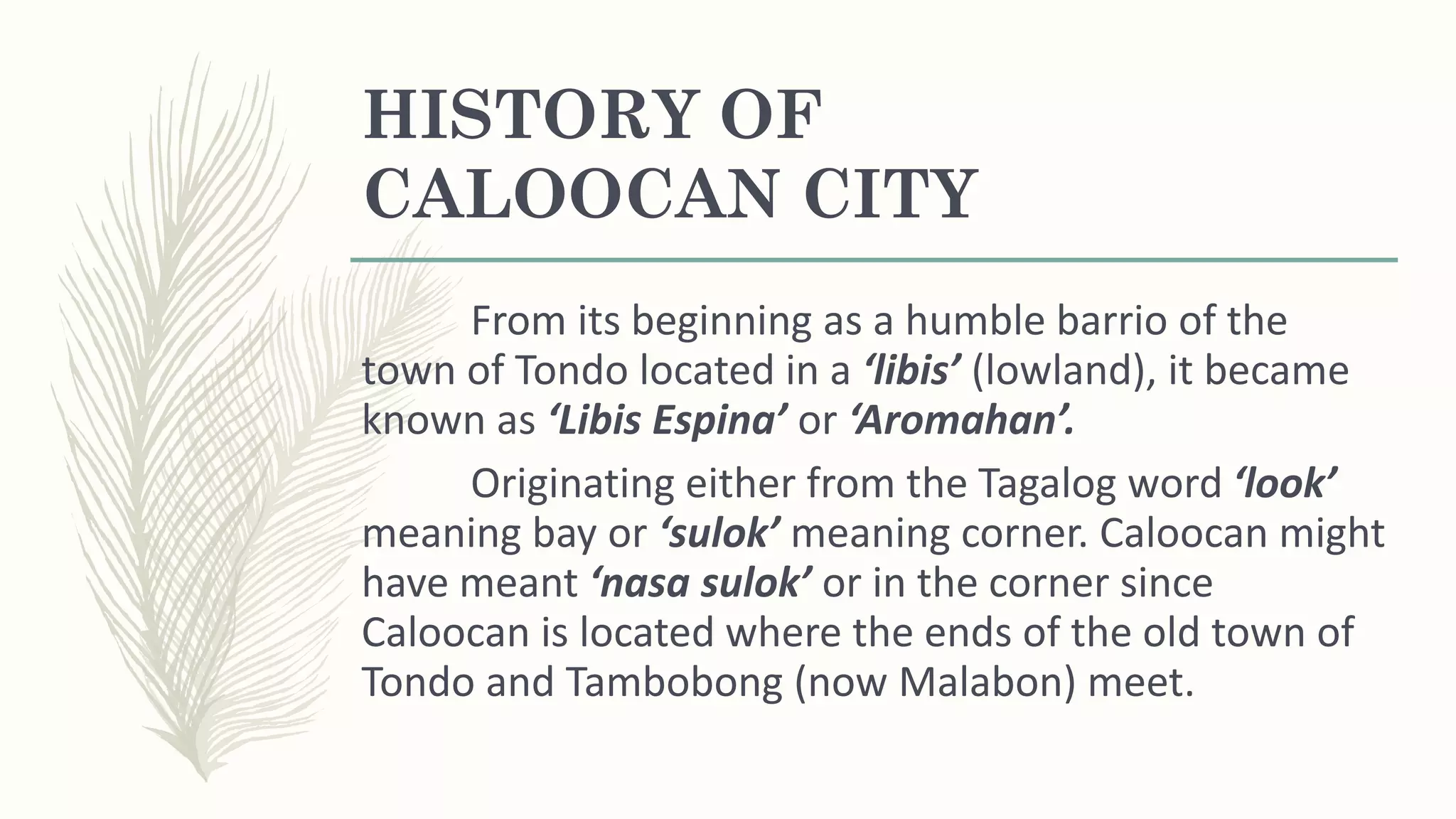 Case Study No. 6-Road and Drainage Improvement Project in Caloocan City ...