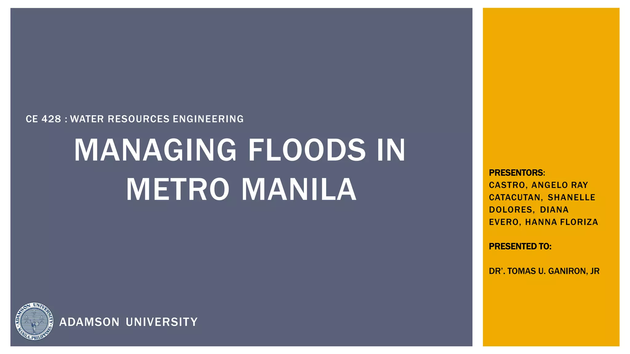 Case Study No. 8-Managing Floods in Metro Manila | PDF