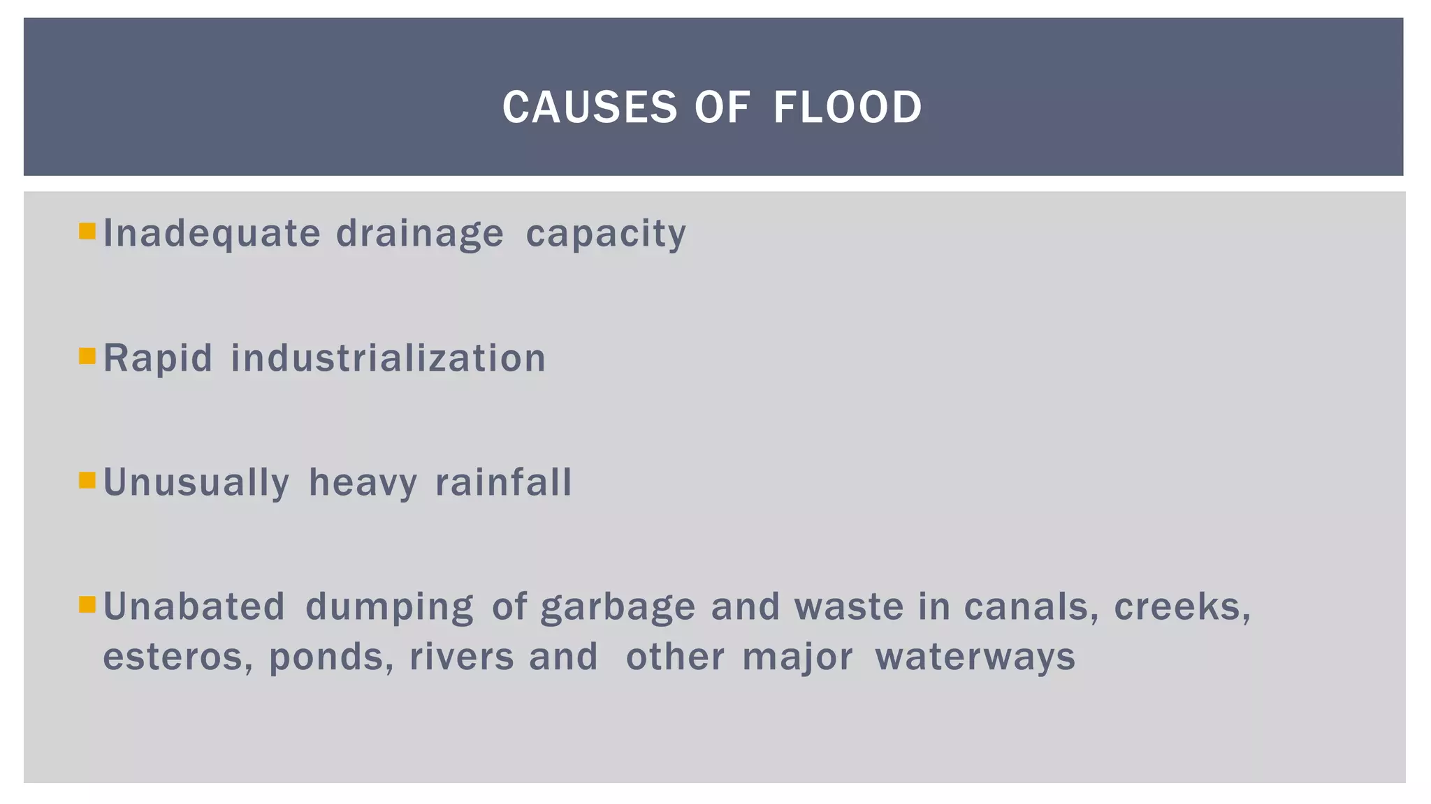 Case Study No. 8-Managing Floods in Metro Manila | PDF