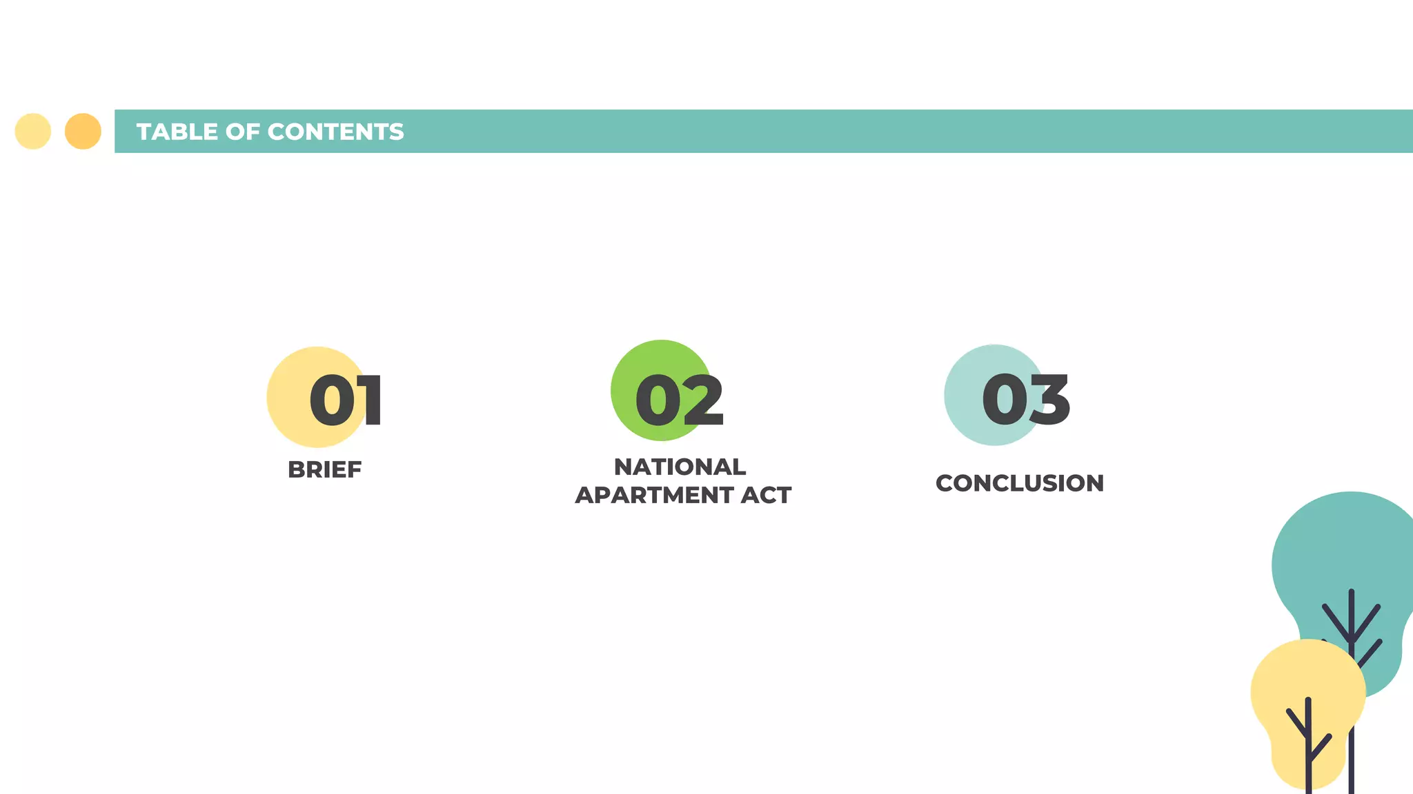 Case Study of Ownership of Apartment Act.pptx