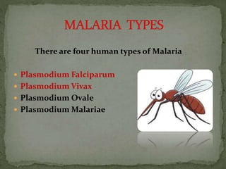 Case study of malaria | PPTX | Infectious Diseases | Diseases and ...