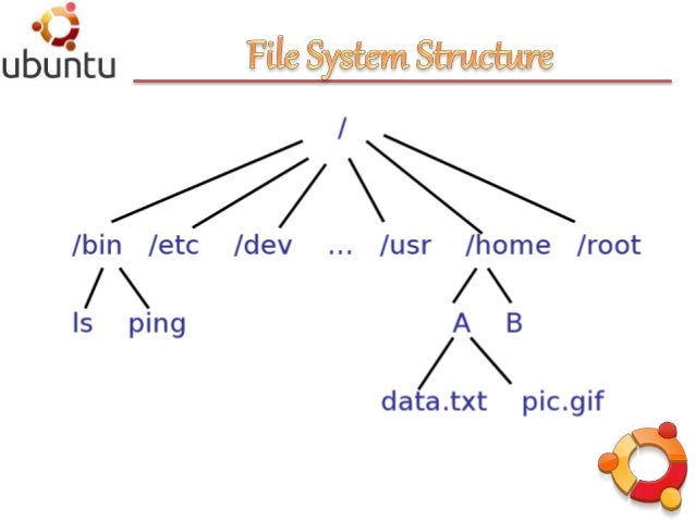 Ubuntu File System 