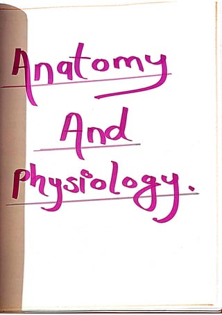 case study on appendicitis for MSc nursing students | PDF