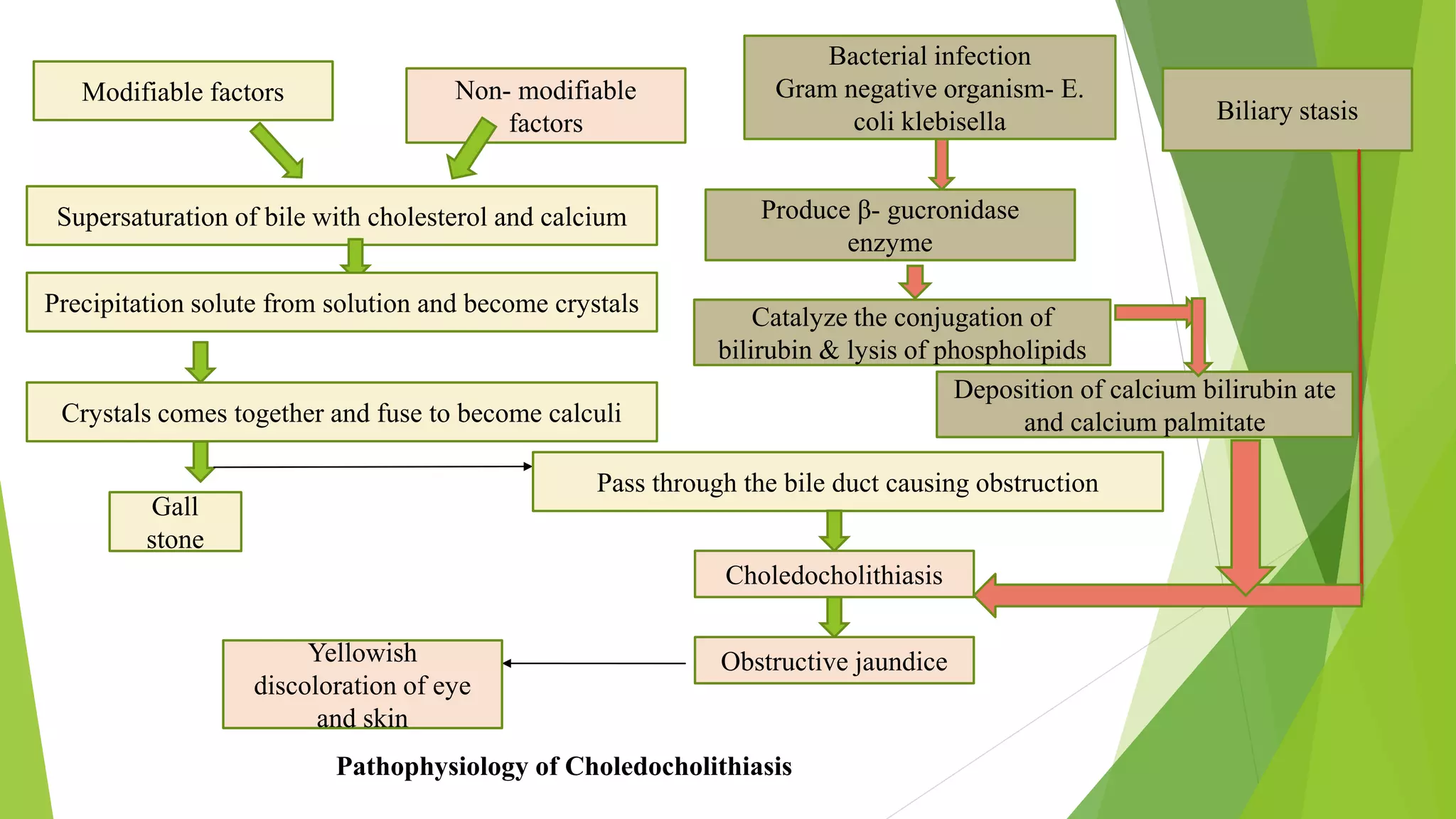 Cholelithiasis - Choledocholithiasis | PDF | Digestive Disorders ...