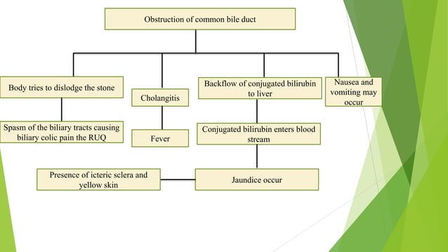 Cholelithiasis - Choledocholithiasis | PDF | Digestive Disorders ...