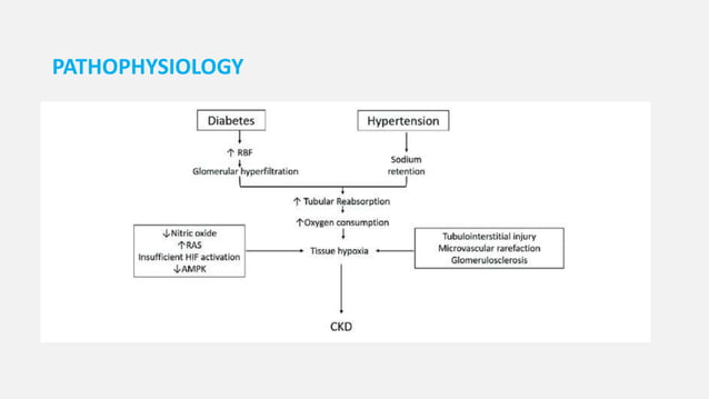 CASE STUDY ON CHRONIC KIDNEY DISEASE.pptx | Heart and Cardiovascular ...
