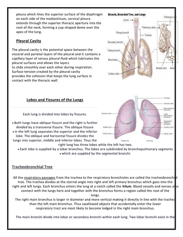 Case study on copd | PDF