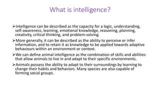 Case study on different types of animal intelligence.pdf