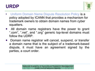 Case Study On Domain Name Dispute | PPT