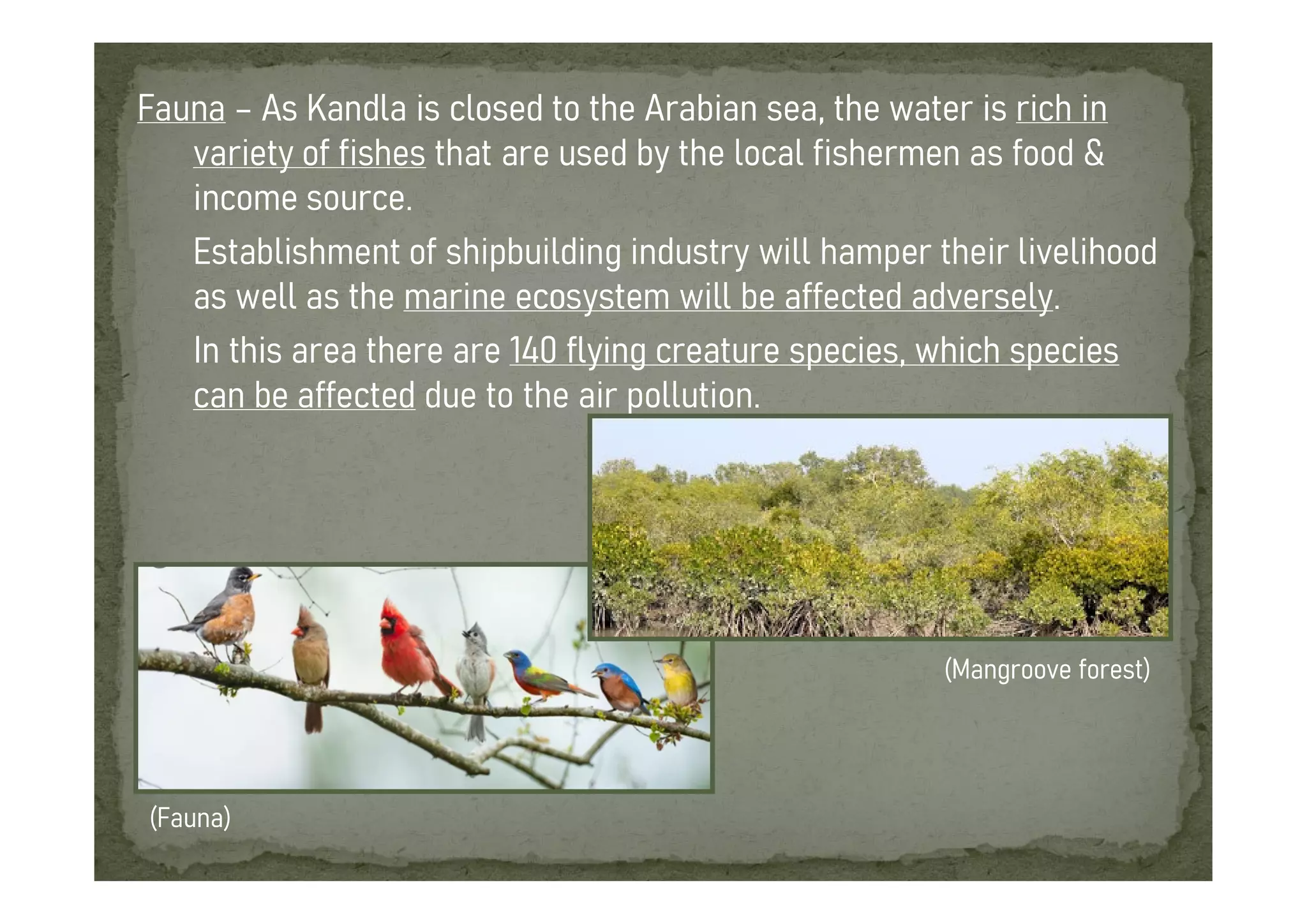 Case study on environment impact assesment | PDF