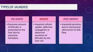 CASE STUDY ON JAUNDICE - Copy.pptx