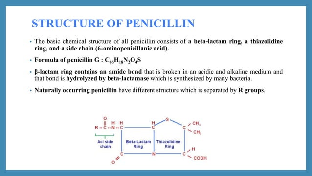 case study on penicillin.pptx | Gardening | Home & Garden
