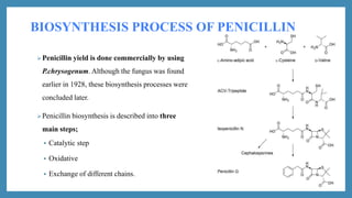 case study on penicillin.pptx
