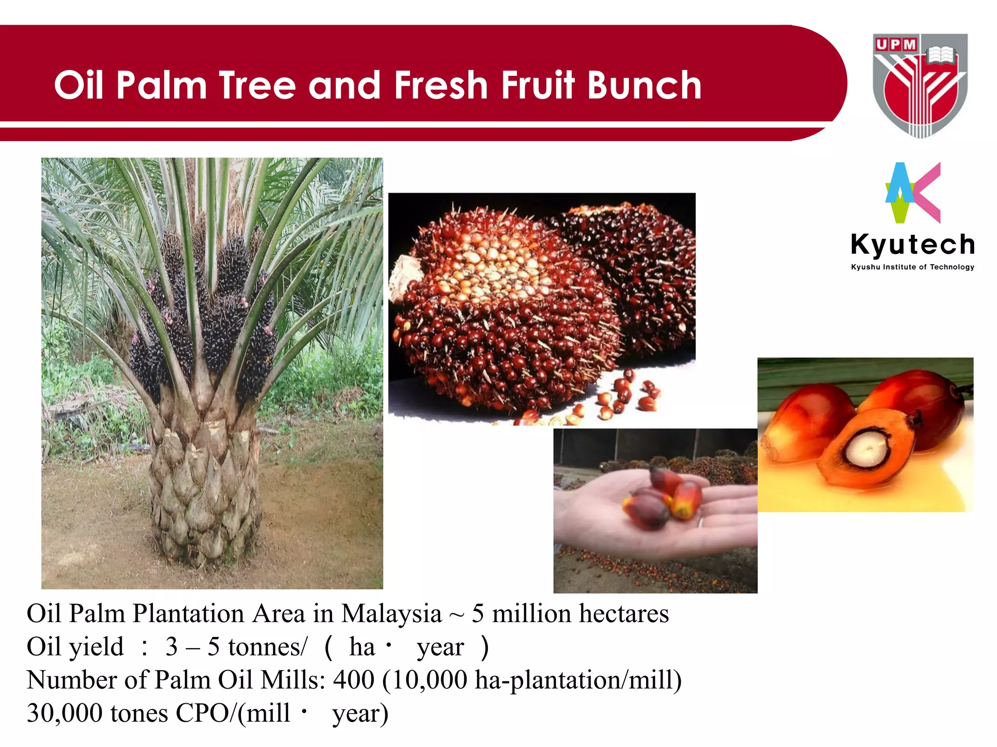 Case study on recycling of oil palm biomass waste and turning it into ...