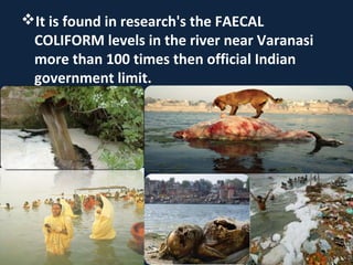 Case study on the river Ganga by ISM Ravi Kiran JP (Defining ...