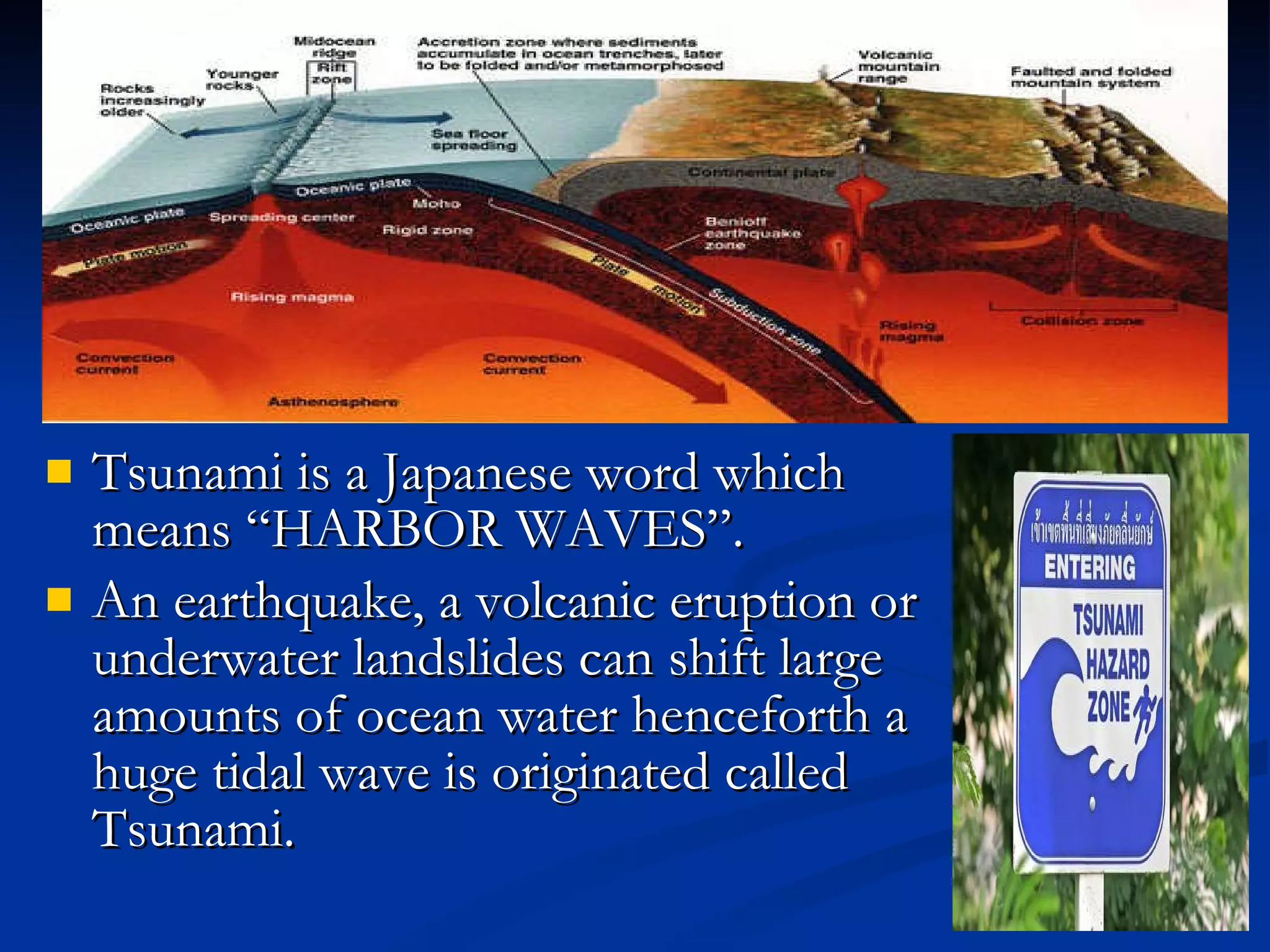 case study on the 26dec tsunami | PPT