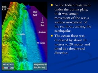 case study on the 26dec tsunami | PPT