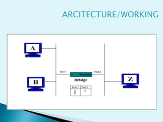 networking device router,switches & bridges | PPTX