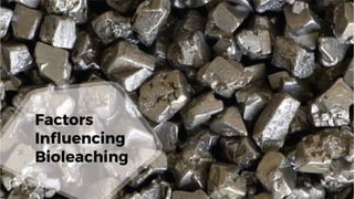Case Study_Presentation_LIB Bioleaching_Group_7.pdf