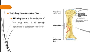 shaft of femur fracture | PDF