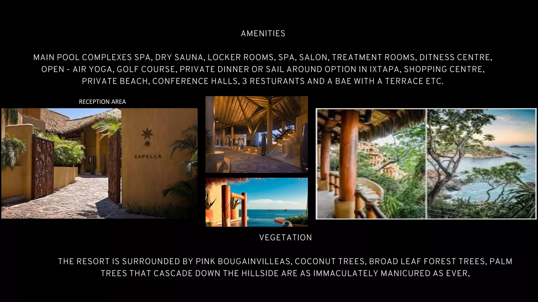 CASE STUDY RESORT - Capella Ixtapa, Kondan The Retreat, Hillside ...