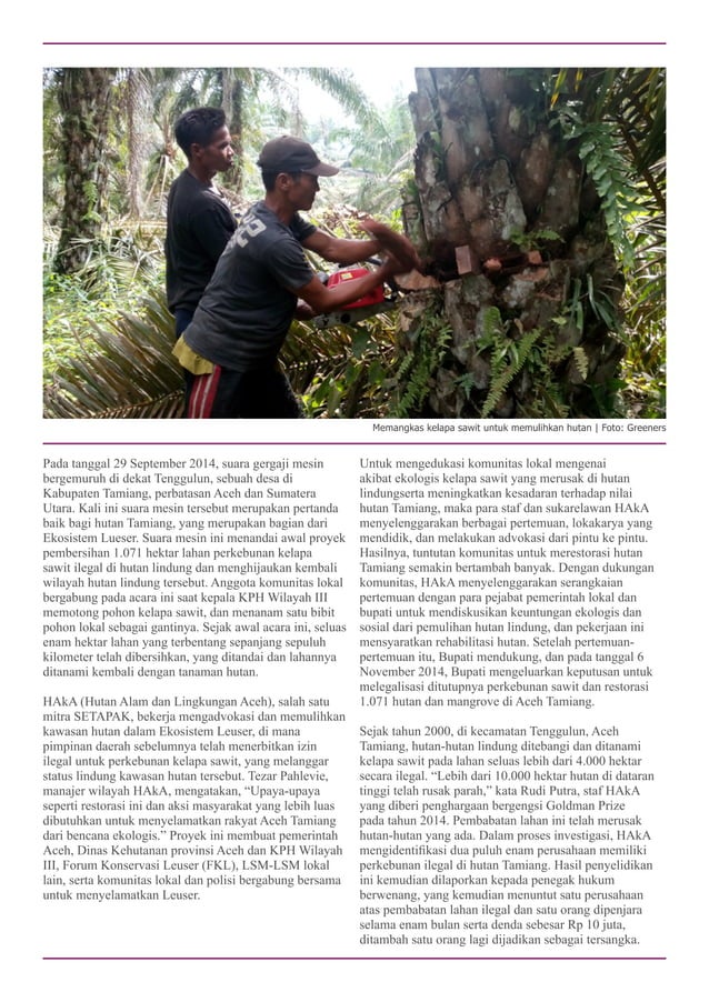 Case study restorasi-hutan-aceh | PDF